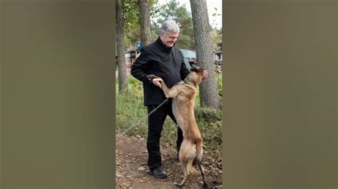 Мирного рішення не буде D порошенко україна переможе Shorts Youtube