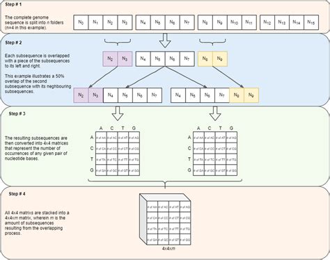 Steps Of The Proposed Method A New Technique For Representing Genome Download Scientific
