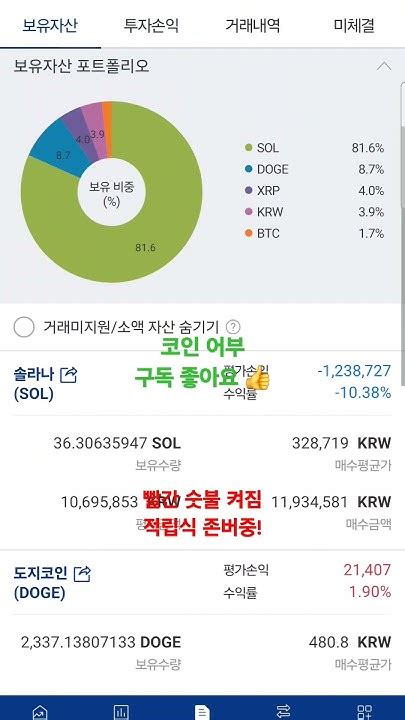 코인 빨간 수익불 켜짐 만원씩 구매하기 반찬값 매매 존버 물타기 수익 재테크 자산 매매 매매일지 비트코인 도지코인 리플 이더리움 솔라나 Youtube