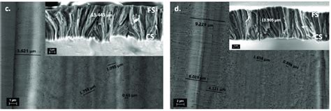 The Contact Surface SEM Images Insets With Cross Section Images For Download Scientific