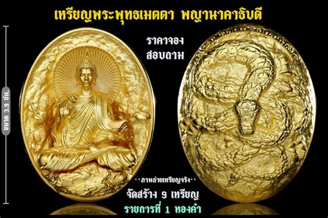 รุ่นเหรียญพระพุทธเมตตา พญานาคาธิบดี วัดเด่นโบสถ์โพธิ์งาม อำเภอเมืองพิษณุโลก จังหวัดพิษณุโลก