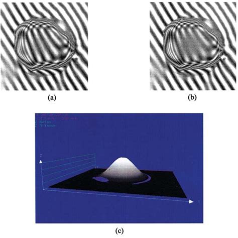 Color Monochromatic Homodyne Interferometry Image Of Download Scientific Diagram