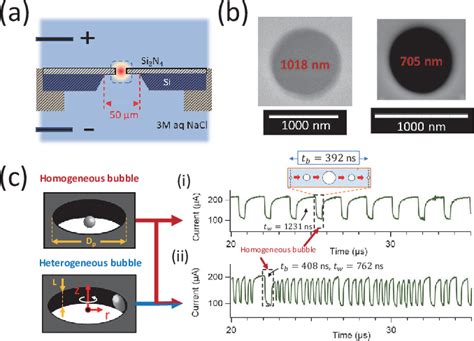 Figure 1 From Data Analysis Platform For Nanobubble Characterization Of