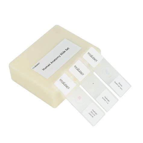 Prepared Human Tissue Anatomy Microscope Slides Set 17pcs Hand Prepared Slides Survey The Major