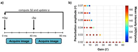 Wavefront Sensorless Control Algorithm Details A Correction Timeline