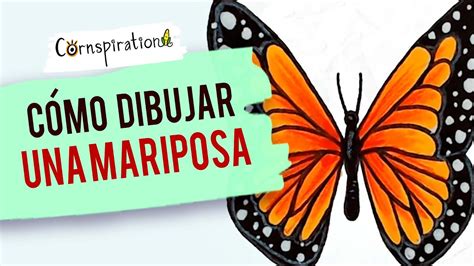 Cómo Dibujar Una Mariposa Volando Paso A Paso