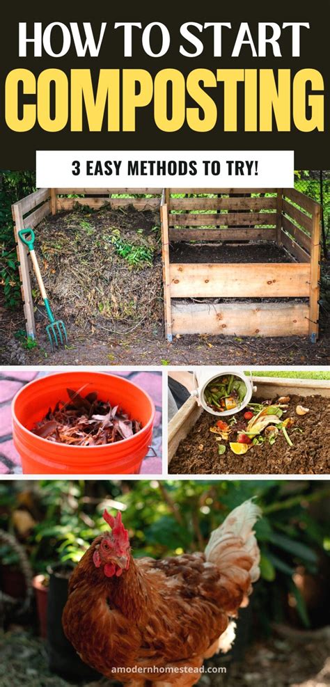 How To Start Composting 3 Easy Methods