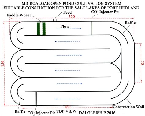Microalgae Open Pond Cultivation System Download Scientific Diagram