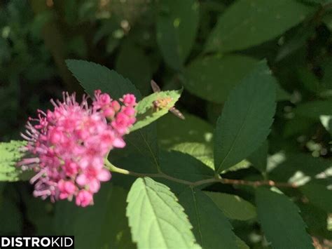 Earth Hold By Libby Dietrix Libby Dietrix