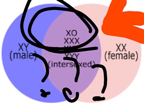 When The Intersex Chromosomes Contain A Geometry Dash Reference R