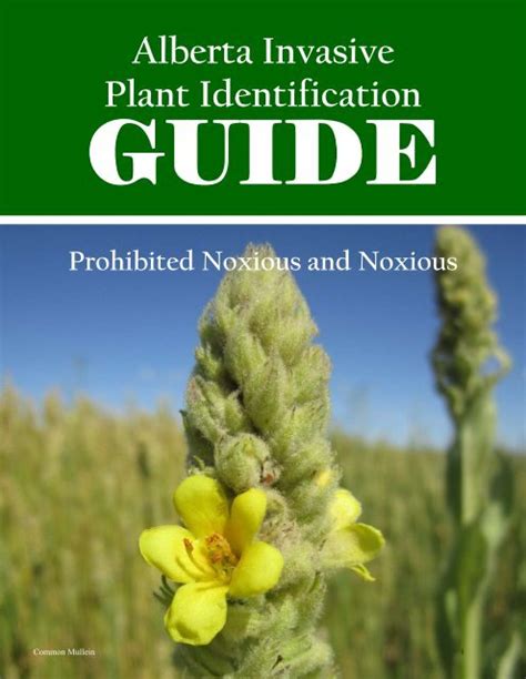 Alberta Invasive Plant Identification Guide