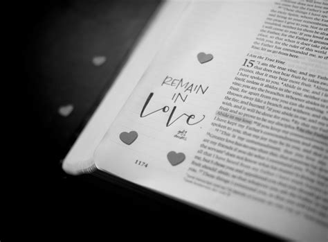 Roca Rocío ♡ On Tumblr