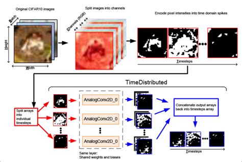 figure software pipeline for snn input conversion to btchw tensors and download scientific