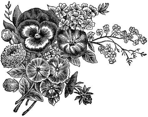 Black And White Flowers Drawings