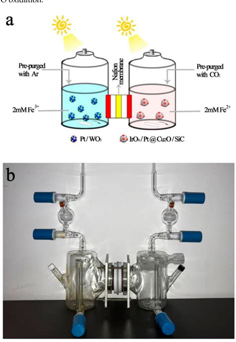 Diagrams Of Spatially Separated Z Scheme A Schematic