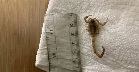 Now With Size Imgur Now With Size Imgur