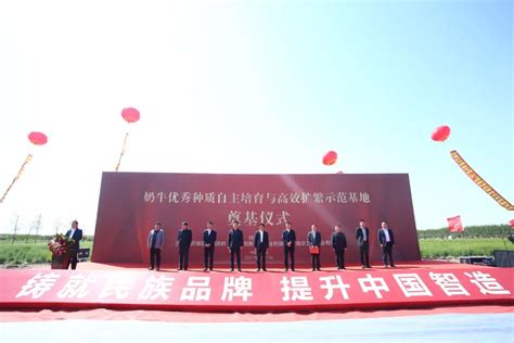 打好种业翻身仗山东济南开建高水平奶牛优秀种质培育与高效扩繁基地 山东种业集团有限公司