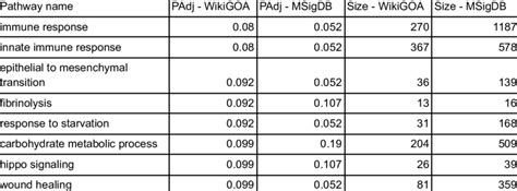 Adjusted P Values For Fgsea Sets For The Schizophrenia Dataset Download Scientific Diagram