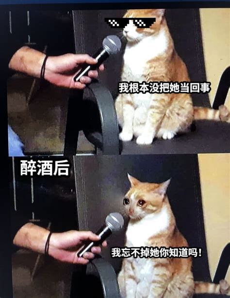 我忘不掉她你知道吗！我根本没把她当回事醉酒后 网友制作的meme梗图