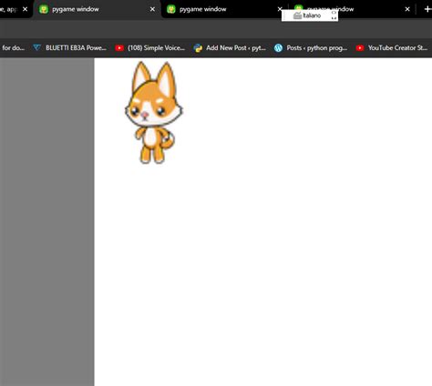 Pygame Walking Cat Python Programming