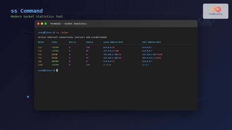 Ss Command Linux Complete Guide To Modern Socket Statistics And Network Analysis Codelucky