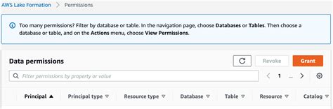 Granting Data Permissions Provided By Data Filters Aws Lake Formation