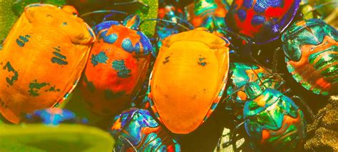 Beyond Bug Hunts A Strategic Guide To Software Testing Methodologies X Team