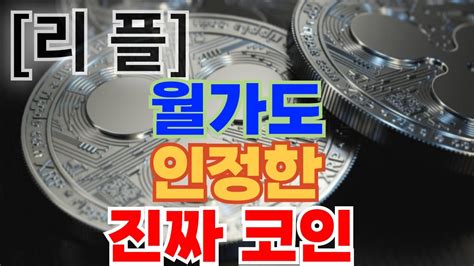🔵리플코인🔵월가도 주목한 실력 있는 코인 지금 만나보세요 리플 리플코인 리플전망 리플분석 리플호재 Youtube