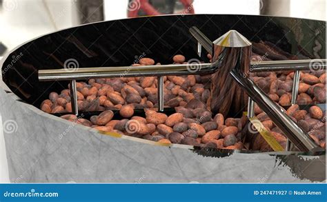 3d Render Of Cocoa Beans Roasting Cocoa Processing In Factory Stock Illustration Illustration