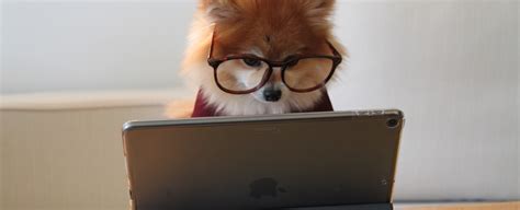 Resolving Git Index Error Shady Nagy