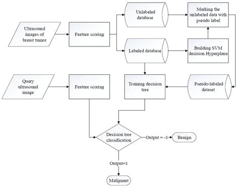 The Flowchart Of The Proposed Cad System Download Scientific Diagram