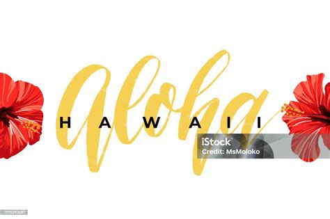 녹색 야자수 잎 히비스커스 꽃 파인애플과 손으로 그린 알로하 비문과 열대 벡터 디자인 여름 하와이 일러스트 0명에 대한 스톡