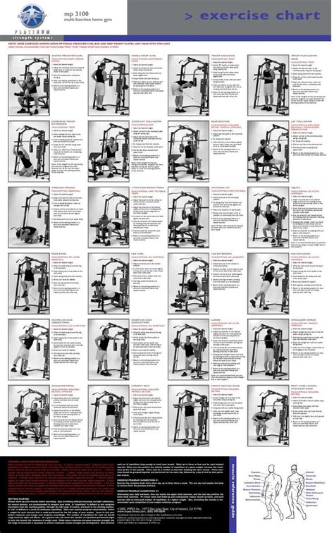 Marcy 2500 Home Gym Workout Routine Chart Strong And Healthy Best
