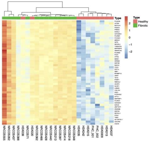 Markers Of Type 2 Inflammation And Immunosenescence Are Upregulated In