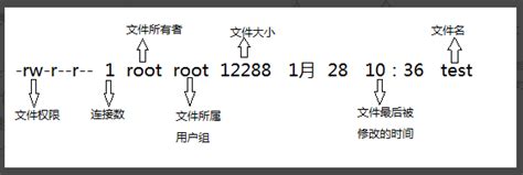 Linux文件属性、权限详解linux 文件属性 Csdn博客