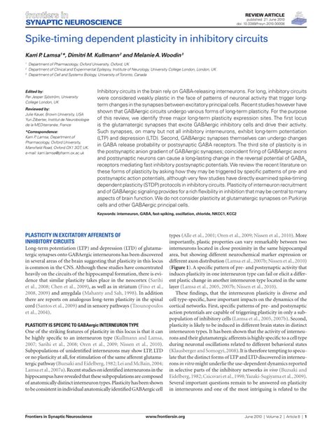 Pdf Spike Timing Dependent Plasticity In Inhibitory Circuits