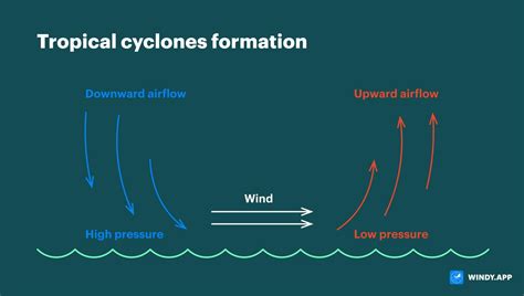 Tropical Cyclone Formation