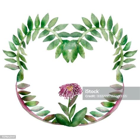 열 대 덩굴 식물입니다 수채화 화려한 프레임 흰색 배경에 고립 된 분홍색 꽃과 포도 나무 가지 손으로 그린 녹색 잎 분 지 및 텍스트 위한 공간을 가진 아름 다운 디자인에