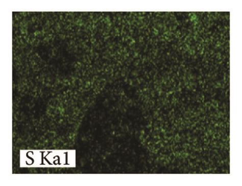 The Surface Topography And Element Distribution Of Position P1 A