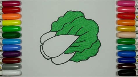 儿童简笔画 白菜 每天一幅简笔画138 零基础学画画 Painting And Coloring Chinese