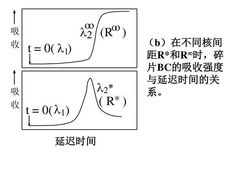 Ppt 第九章 过渡态理论 （ Transition State Theory ） §91 势能面上的运动（略） §92 过渡态理论的