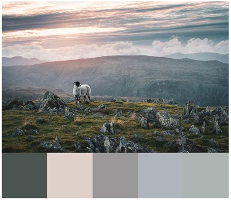 Github Xvanturingcquant Async Node Color Quantization By Native Addon