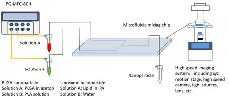 Plga Nanoparticles Synthesis System Microfluidic Method Precigenome