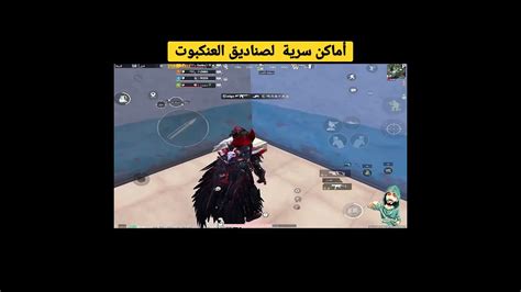 اماكن سرية جديدة لصناديق العنكبوت في ارانغل التحديث الجديد Shorts Youtube