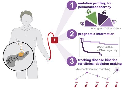 Strategies Concerning The Incorporation Of Ctdna Sequencing Based Download Scientific Diagram