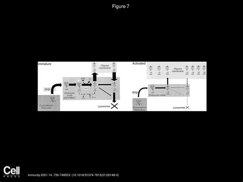 Volume Issue Pages June Ppt Download