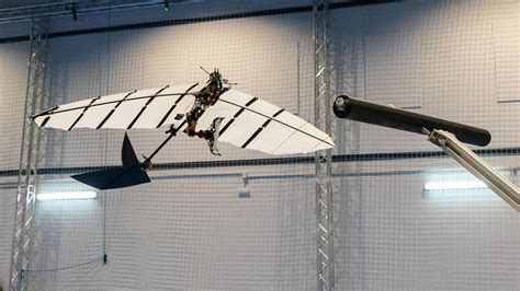 flapping wing robot that can land autonomously like a bird