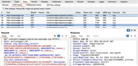 使用 Burp Proxy 拦截 流量 Burp Suite中文网站，portswigger中文网站