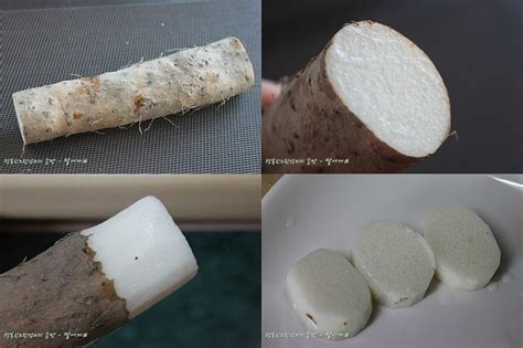 마 파인애플주스 만드는법