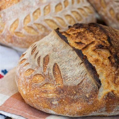 Bread Baking Temperature For All Types Of Bread Comprehensive Guide